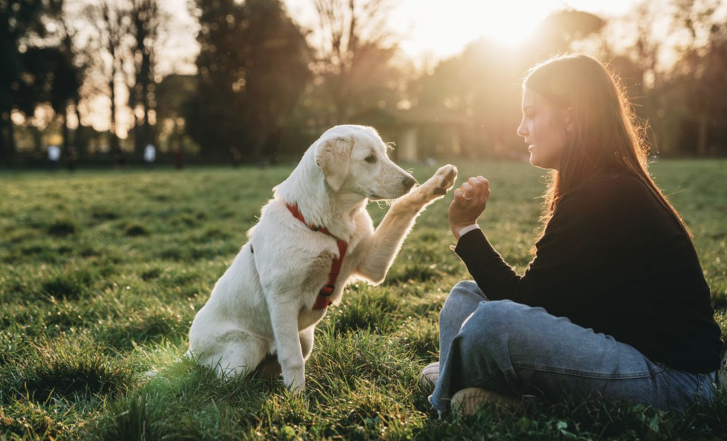 How to Learn More About Animals in Person - Readability