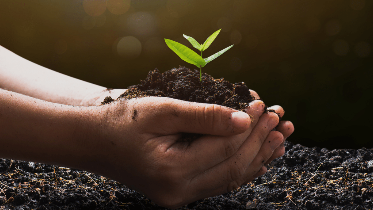 Navigating the Path to a Greener Future: How Does Environment Development and Sustainability Go ...