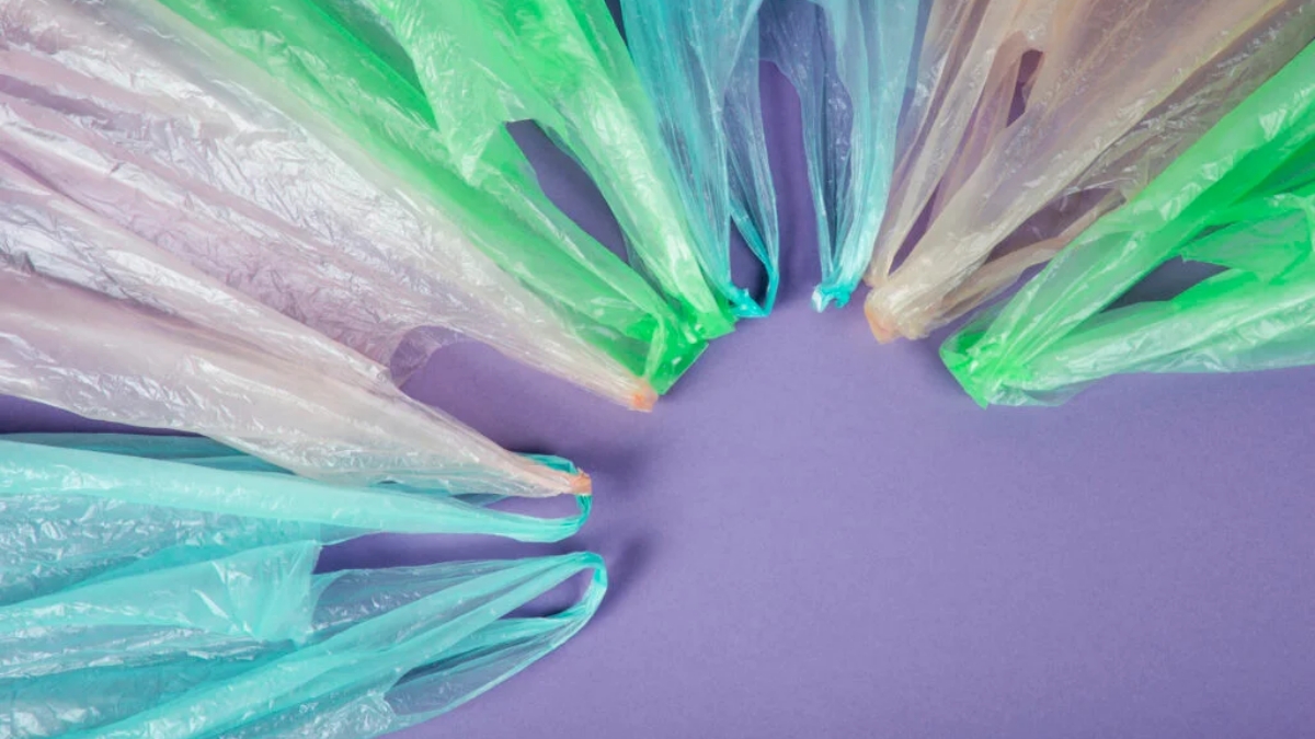 5 Common Misconceptions About Polythene - Readability