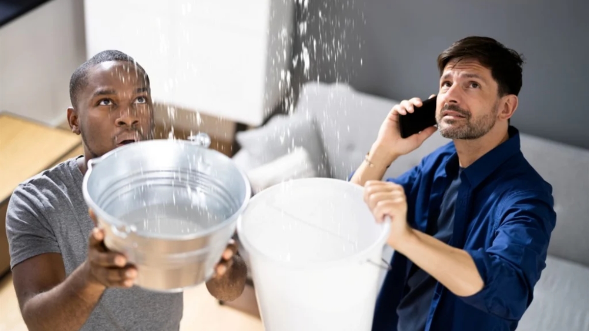 Identifying Signs of Long-Term Water Damage: What to Look For - Readability