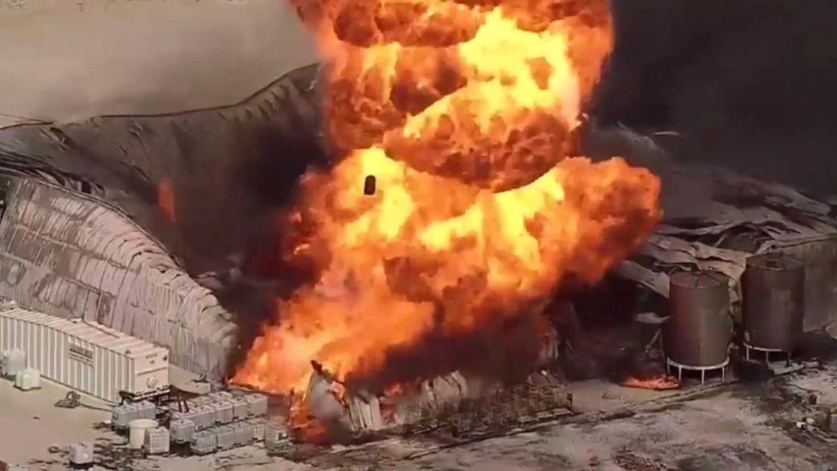 What to Do After a Plant Explosion - Readability