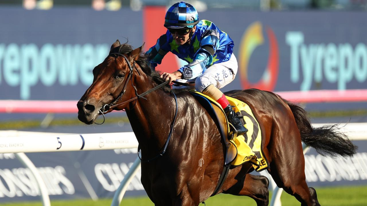 Exploring the Rich History of Melbourne Cup and Its Biggest Wins ...