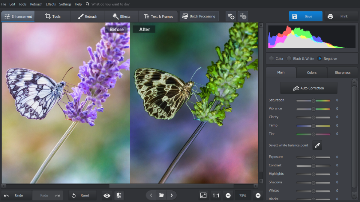 Beyond the Ordinary: Why Flipping to Negative Might Be Your Photo's ...
